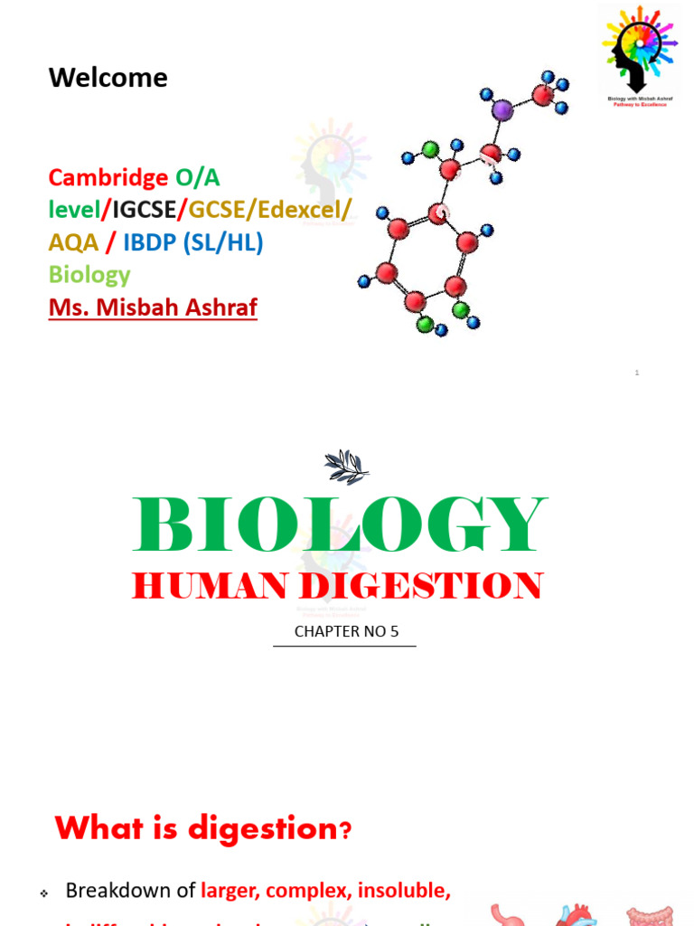 Chapter 7 Human Nutrition Download Free Pdf Digestion Human Tooth