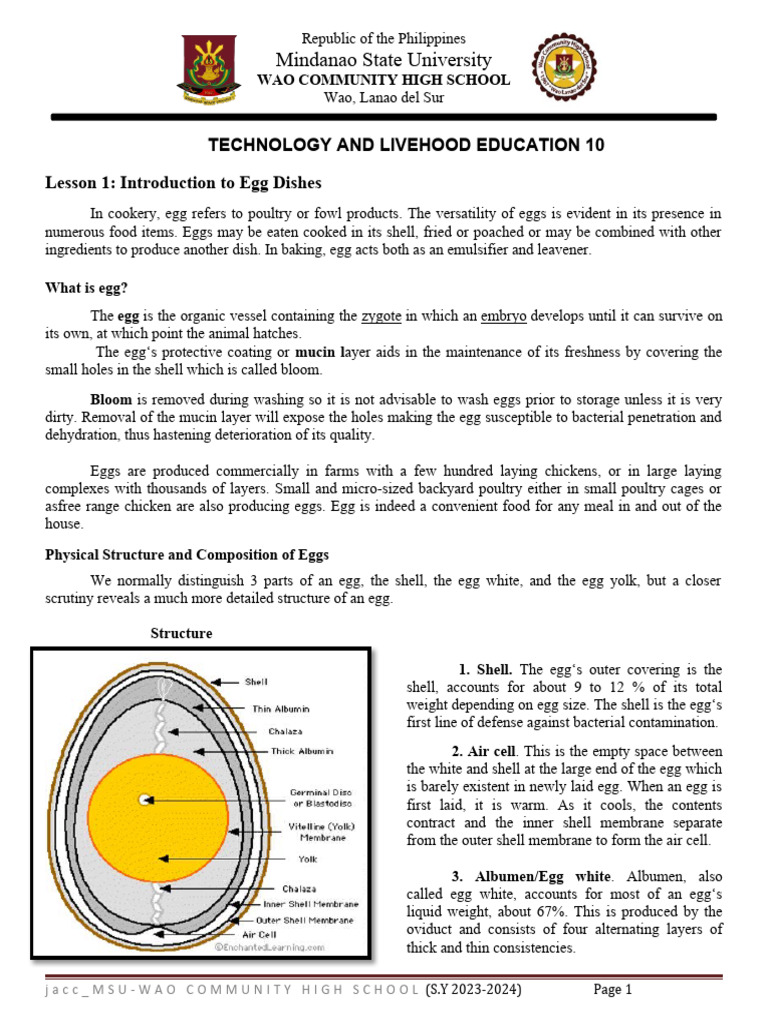 Lesson 1 - Tle | PDF | Dishwasher | Yolk