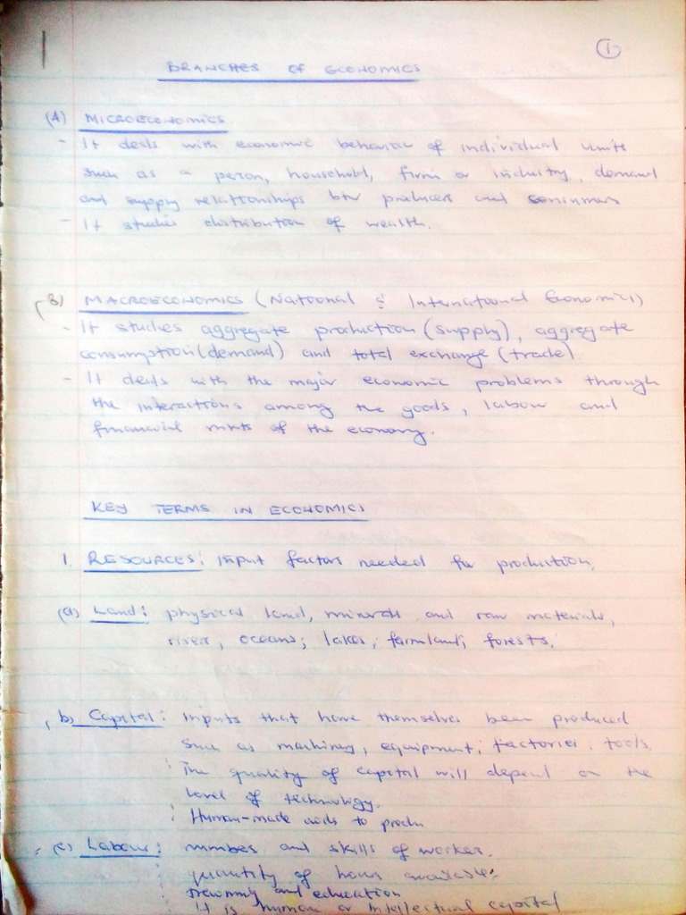 Economics Notes | PDF