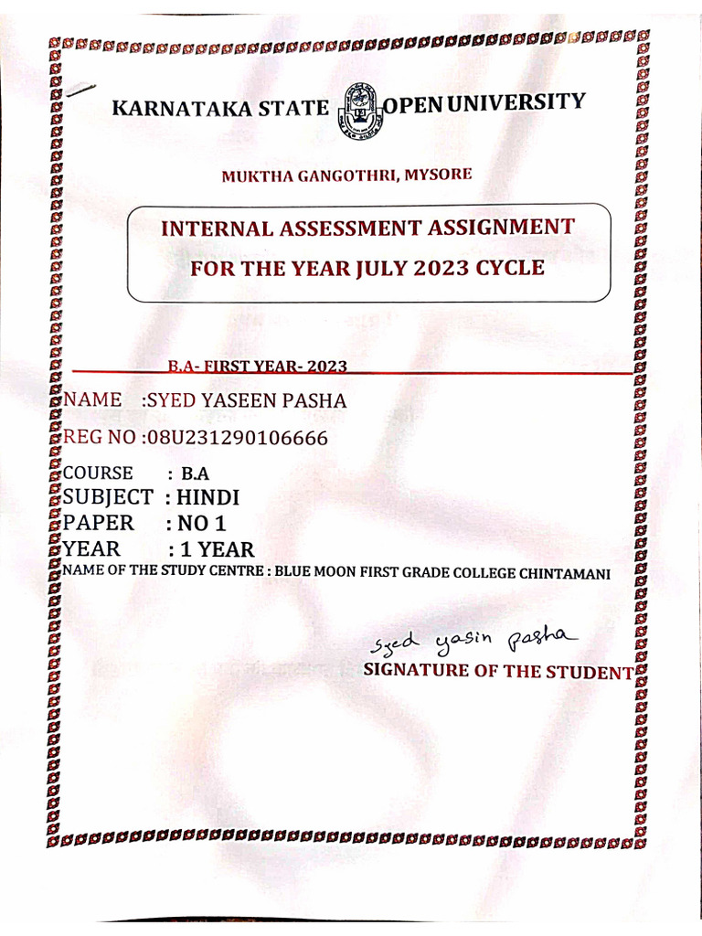 Hindi Assignment | PDF