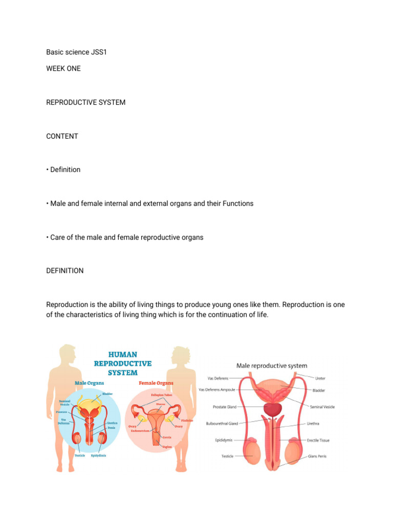 Basic Science J-WPS Office | PDF | Reproductive System | Human Reproduction