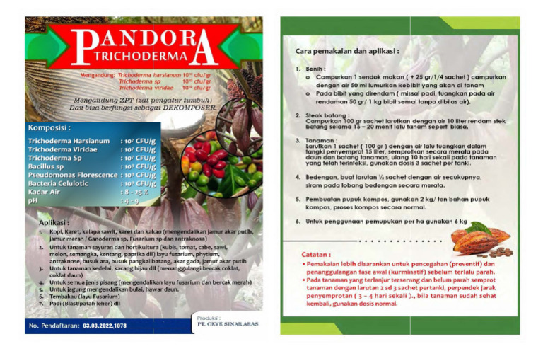 Brosur Pandora | PDF