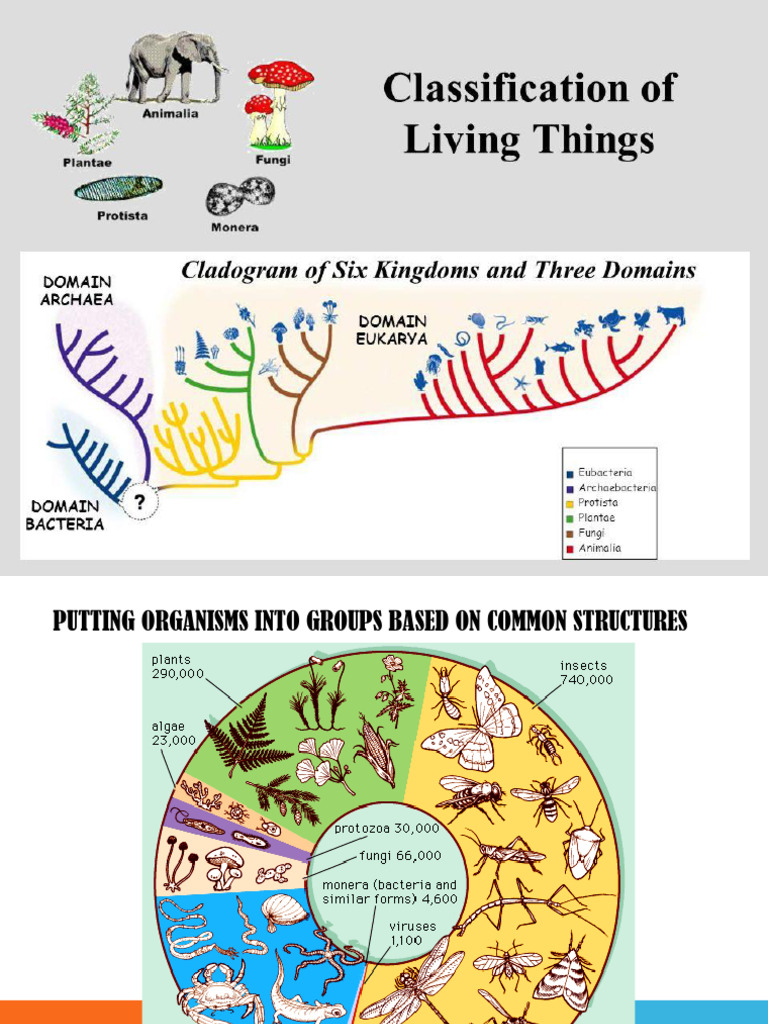Unit - 1 - Classification - of - Living - Organisms - 2021 (2) 2 ...