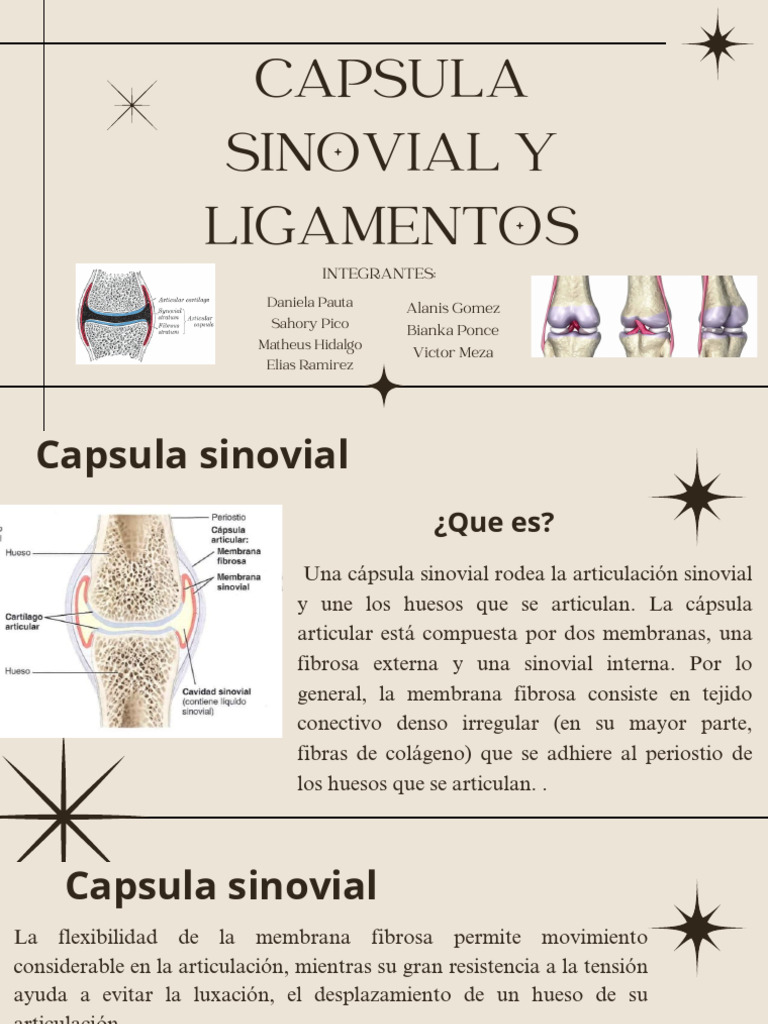 Funciones y características de ligamentos y cápsula sinovial | PDF ...