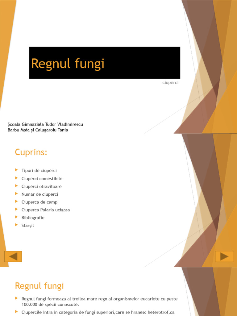 Regnul Fungi | PDF