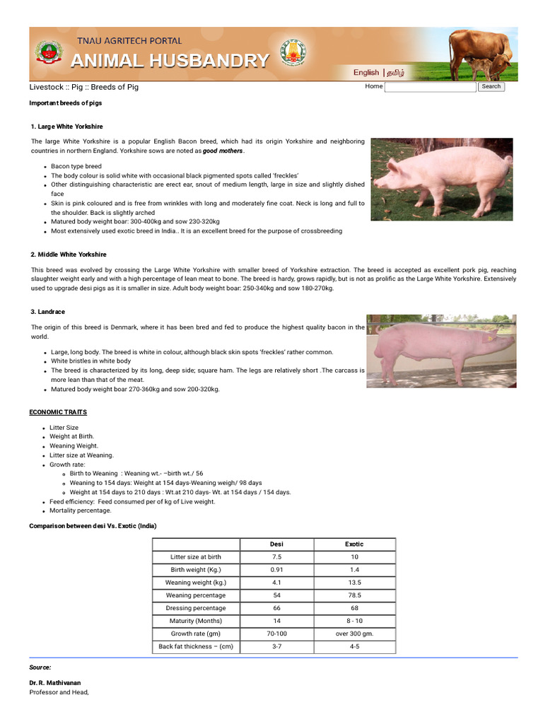 Live Stock - Pig - Breeds of Pig | PDF | Pig | Ethnobiology