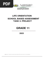 Grade 11 Life Orientation Revision Notes | PDF | Goal