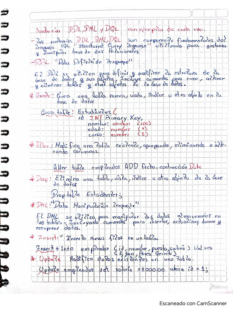 Sentencias DDL y DML | PDF