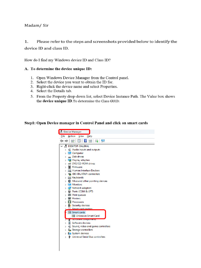 DSC Details Extraction Instruction PDF | PDF