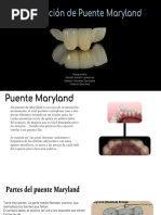 Clasificación de Carl Misch Dianelsty | PDF