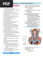Anatomia do Sistema Venoso Ázigo | PDF | Fígado | Abdômen