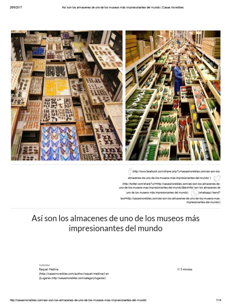 Así Son Los Almacenes de Uno de Los Museos Más Impresionantes Del Mundo ...