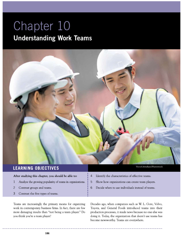 #9 Understanding Work Teams | PDF