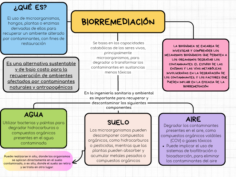 Mapa Conceptual- Biorremediación | PDF | Contaminación | Naturaleza