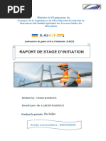 Essai Au Bleu de Methylene (NF | PDF