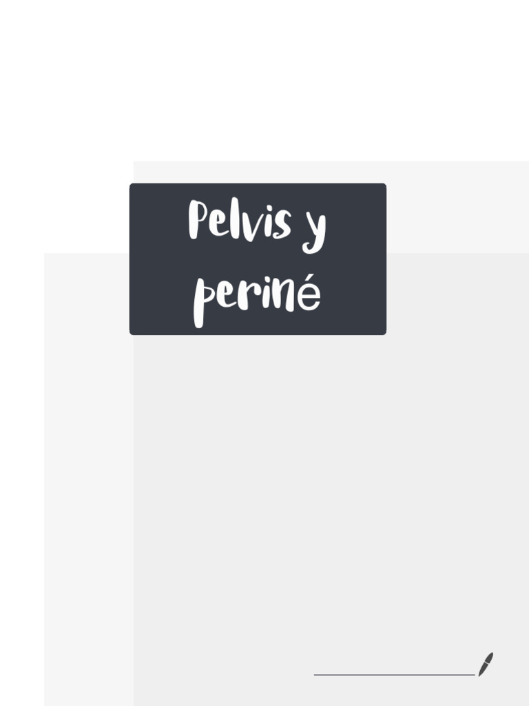 Pelvis Y Periné | PDF | Pelvis | Sistema musculoesquelético
