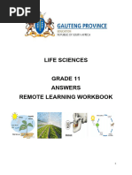Grade 10 Relab Marking Guideline | PDF
