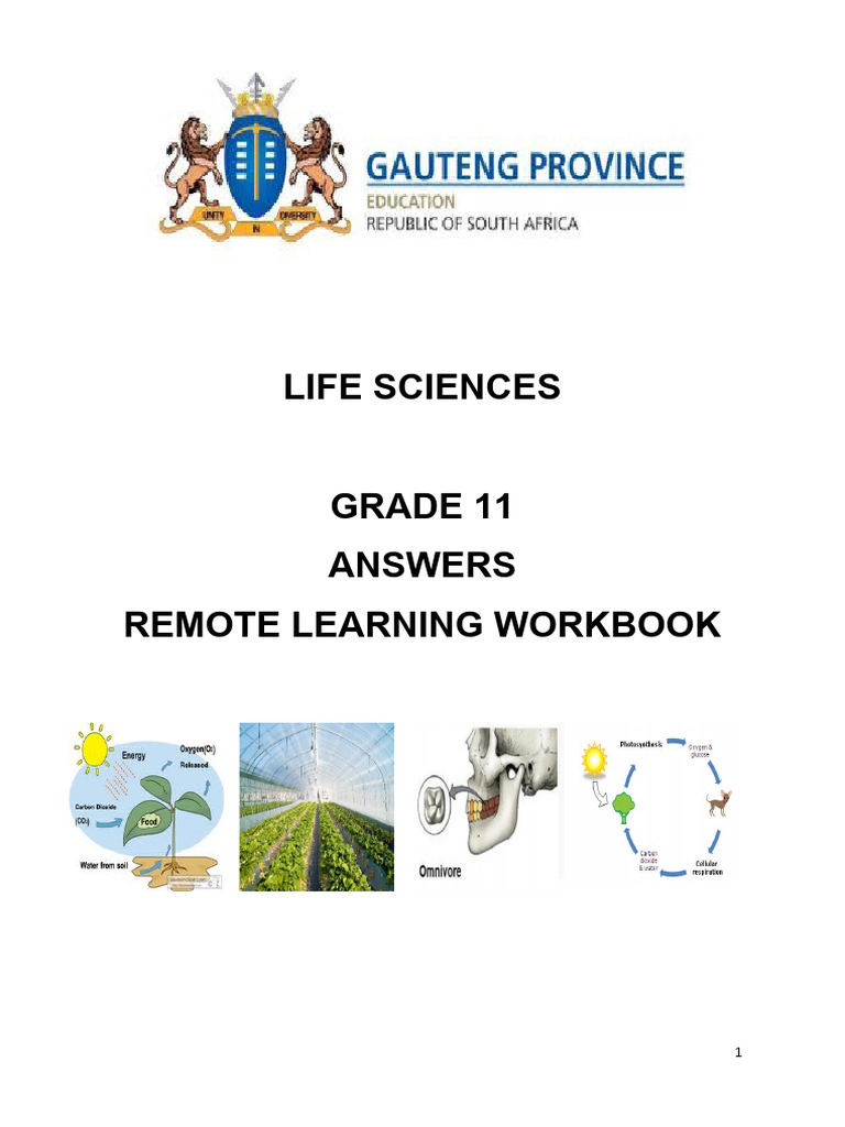 Gr.11 Life Sciences Answers For Remote Learning Booklet Term 2 | PDF ...