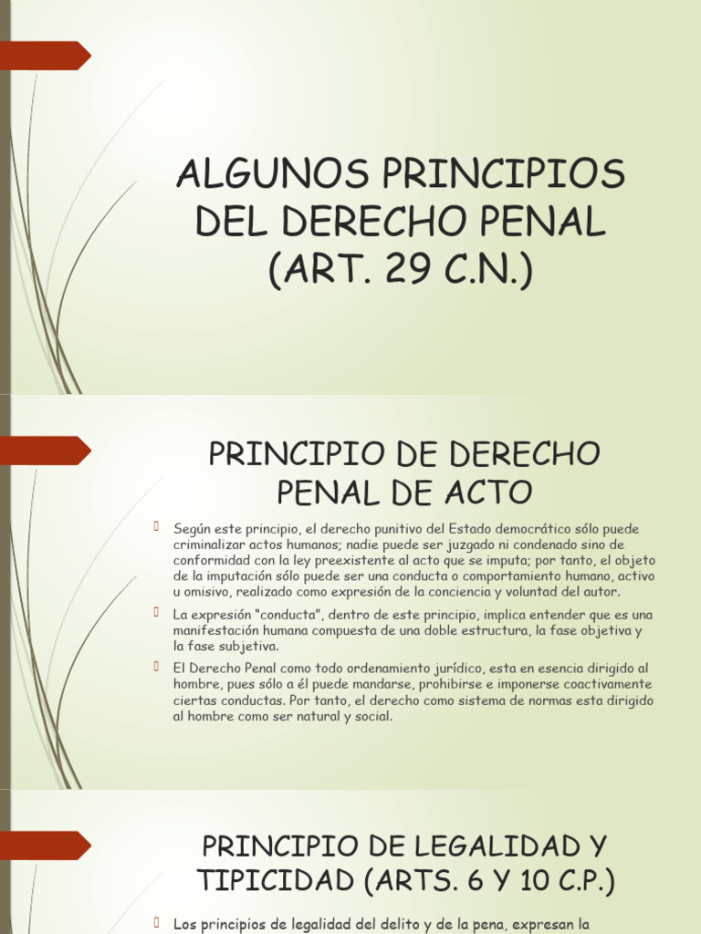 Los Principios Del Derecho Penal Descargar Gratis Pdf Derecho Penal