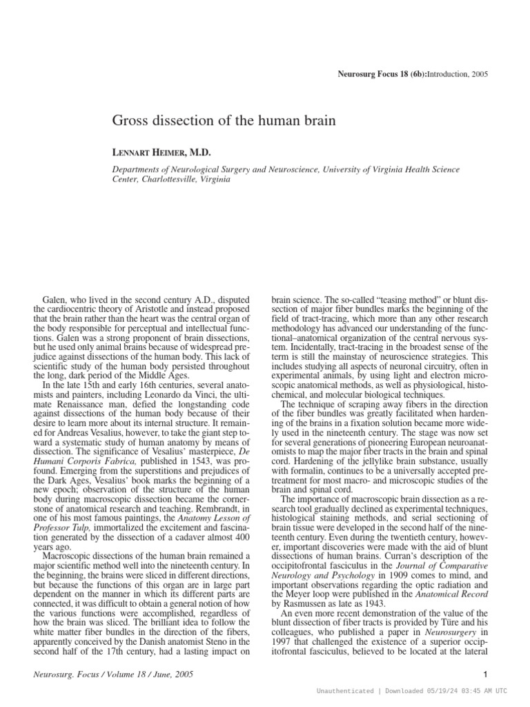 Neurosurg-Focus-Foc 2005 18 6 13 | PDF | Brain | Anatomy
