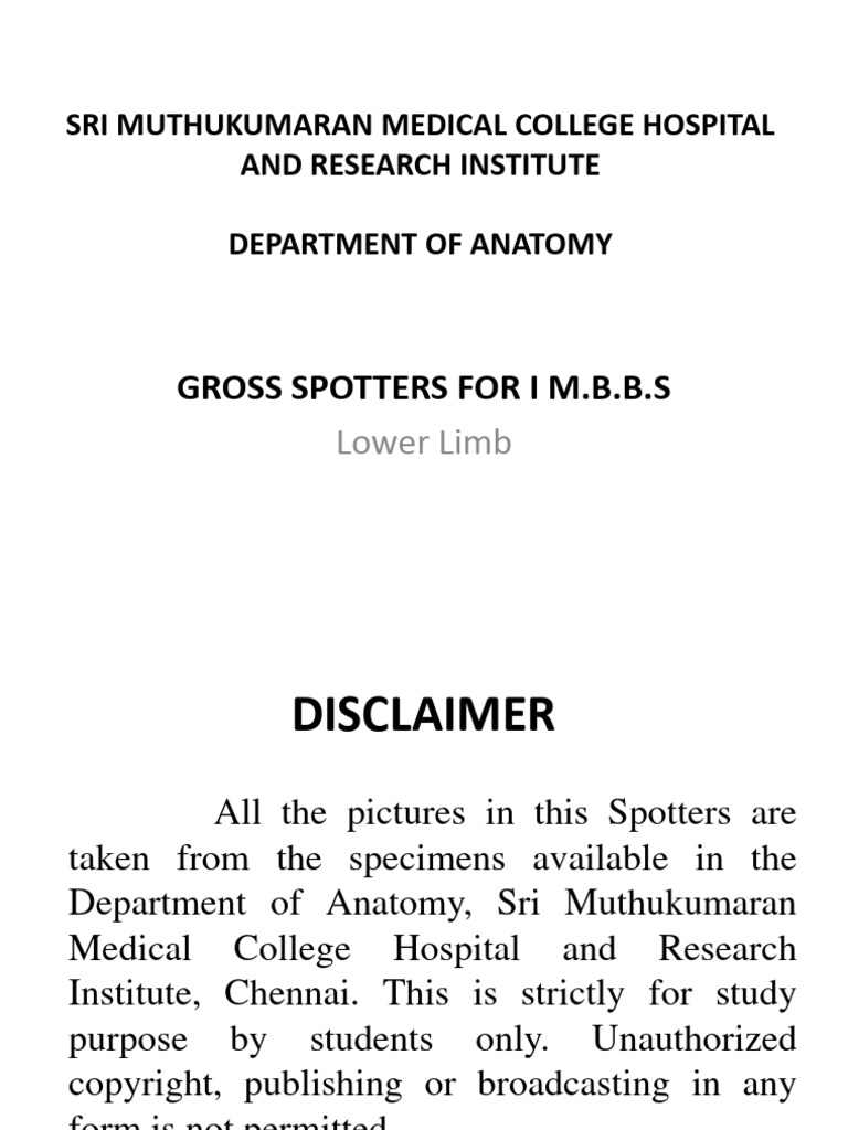 Spotters Lower Limb | PDF | Human Leg | Foot