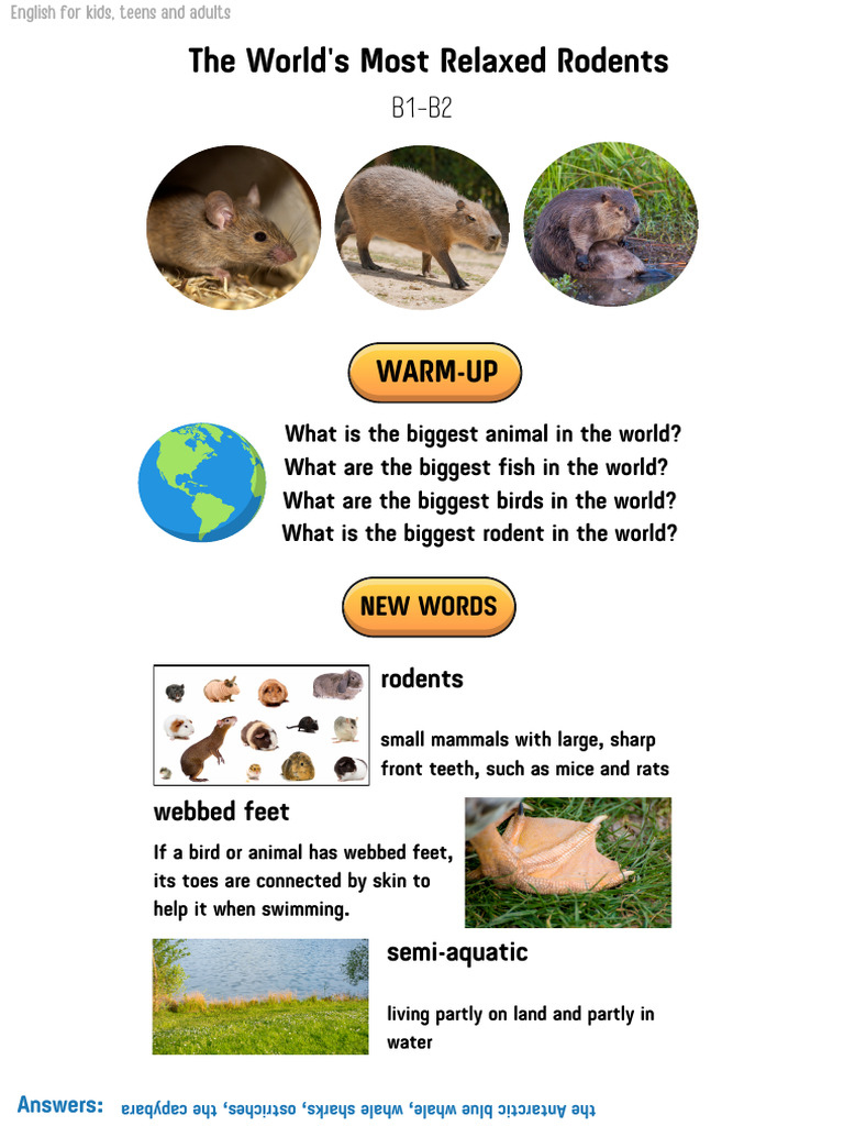 The World's Most Relaxed Rodents Lesson B1 B2 English For Kids Teens ...
