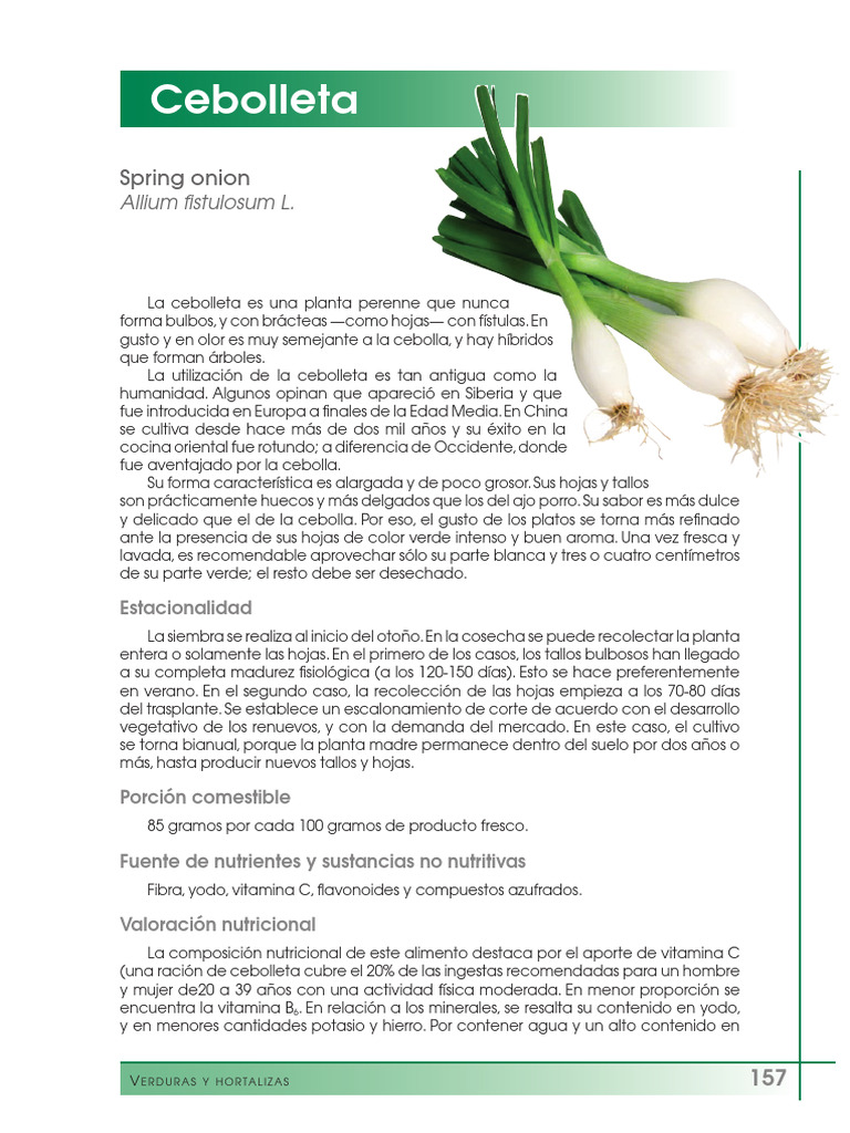 Beneficios y cultivo de la cebolleta | PDF
