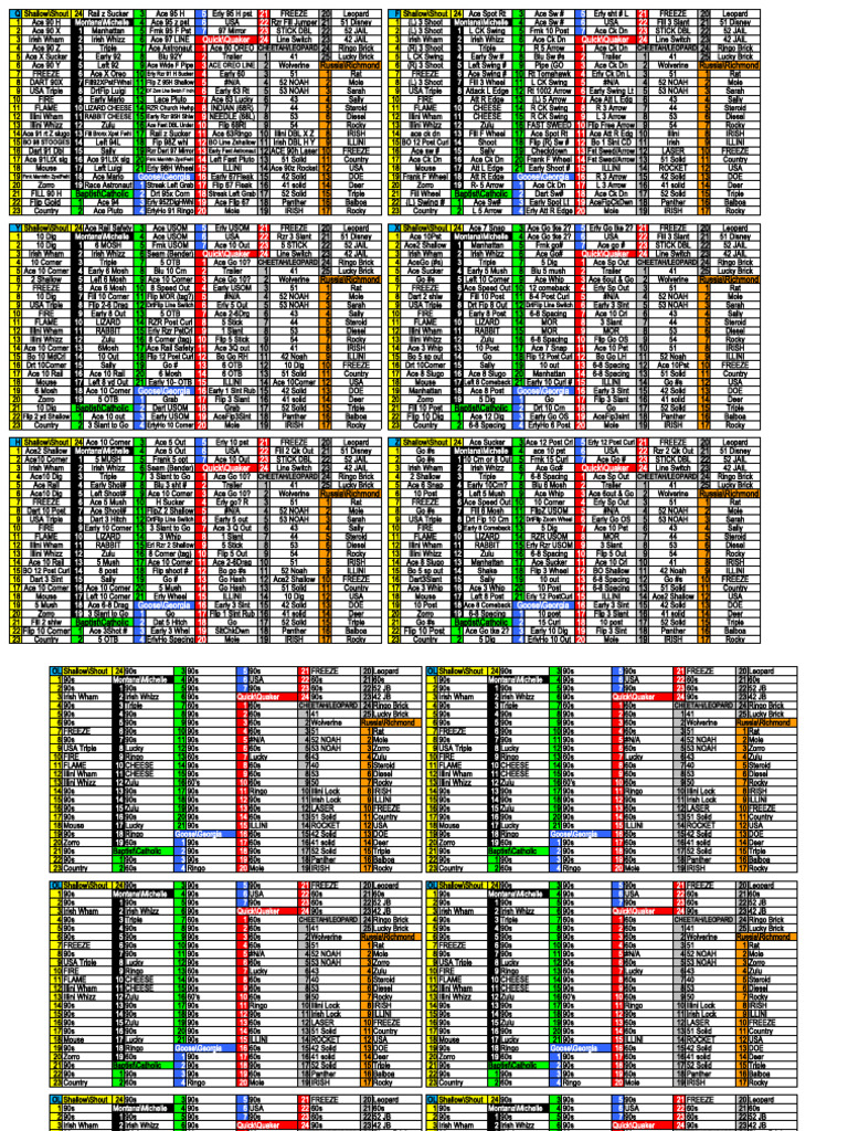 2024 Wristband | PDF
