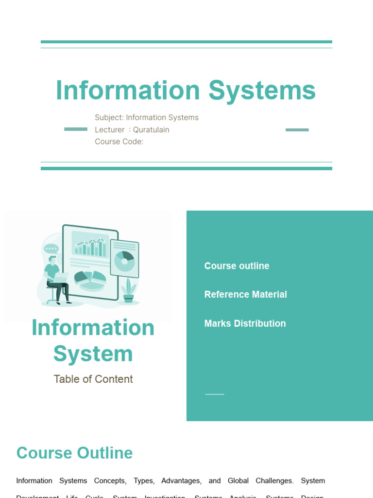 Information Systems Course Overview | PDF