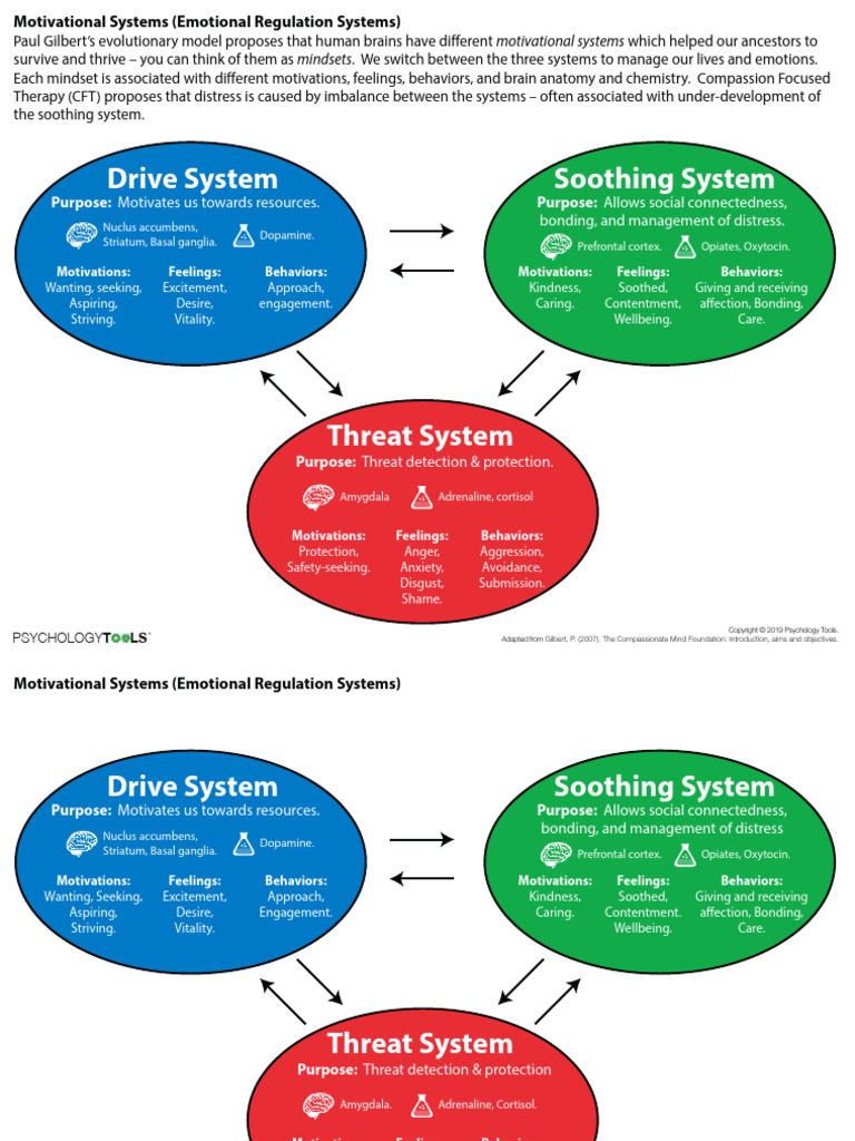 Emotional Regulation Systems | PDF | Compassion | Motivational