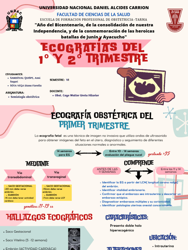 Ecografías Del 1° y 2° Trimestre | Descargar gratis PDF | El embarazo | Feto