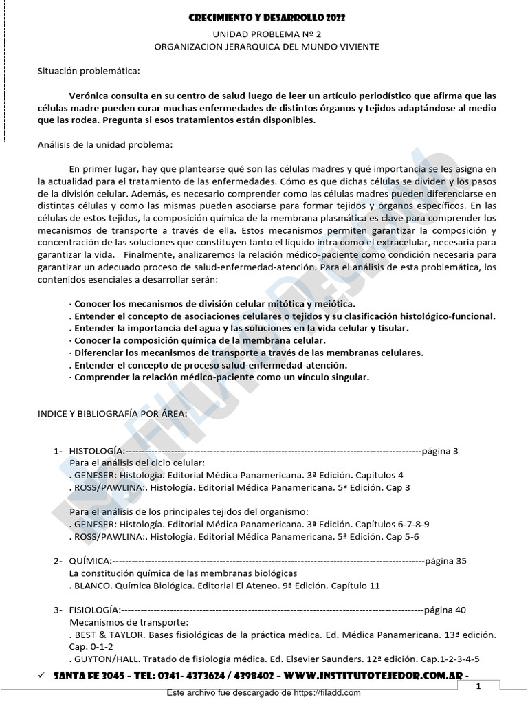 Introducción a las Células Madre | PDF | Epitelio | Mitosis