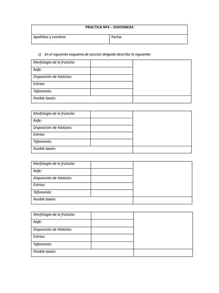 Practica Nº4 Estat | PDF