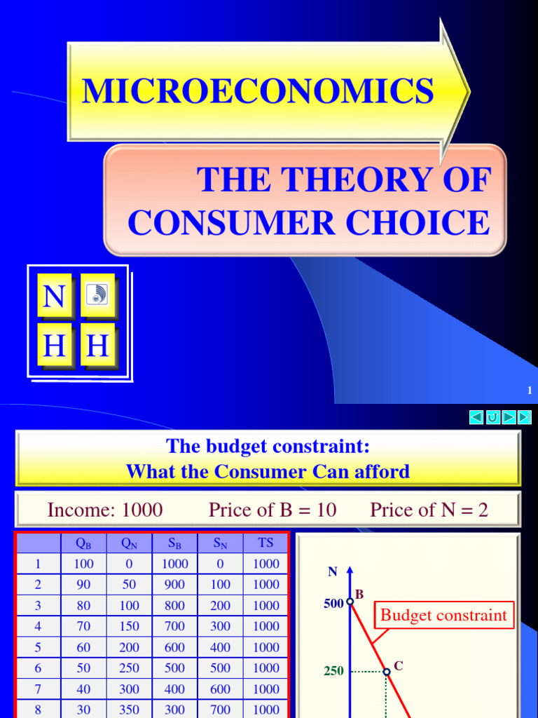 c5 Theory of Consumer Choice Mankiw 21927 | PDF | Demand | Consumers