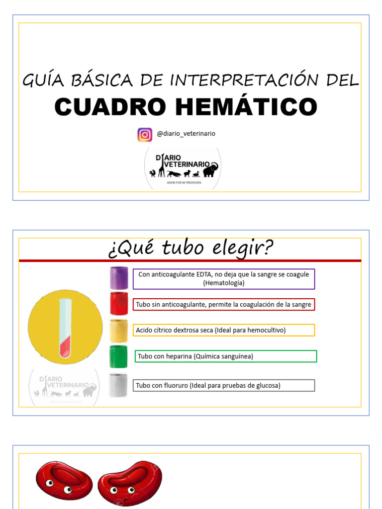 Guia de Interpretacion Basica de Cuadro Hematico | Descargar gratis PDF ...