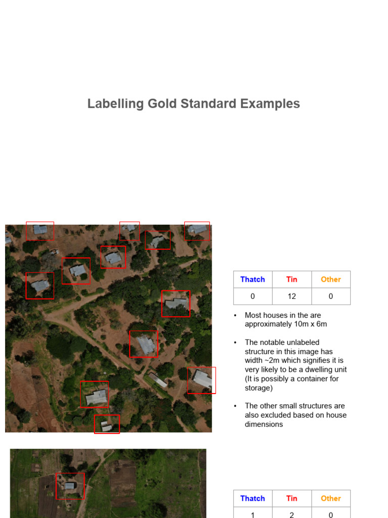 Labelling Gold Standard Examples | PDF