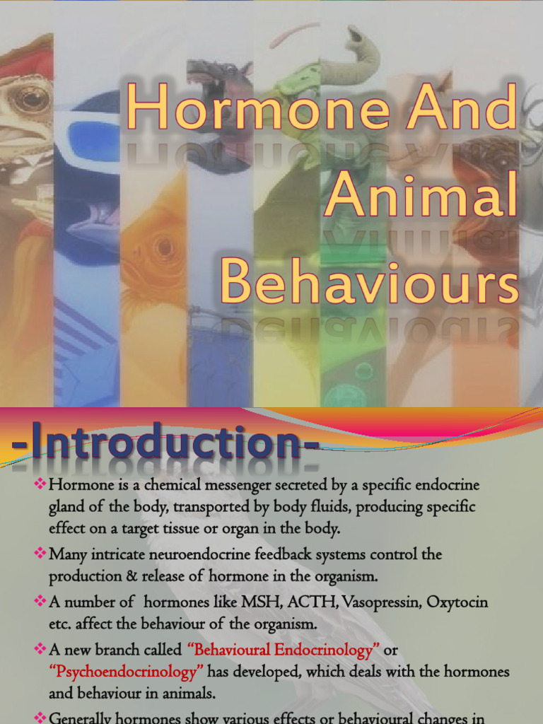 Hormone and Animal Behaviours | PDF | Zoology | Behavioural Sciences