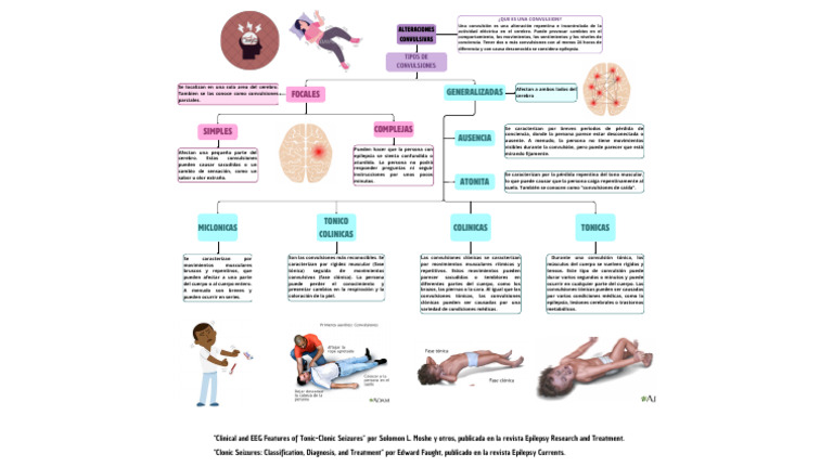 Causas y tipos de convulsiones | PDF | Neurociencia | Medicina CLINICA