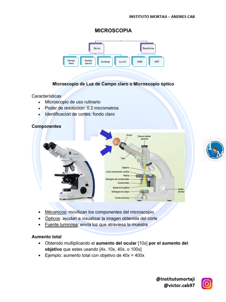 Microscopía MANUAL | Descargar gratis PDF | Microscopio | Microscópio ...