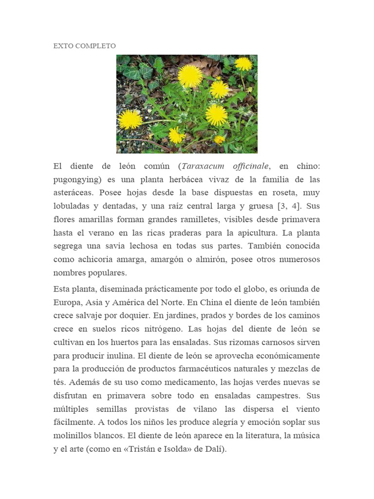 Diente de Leon | PDF