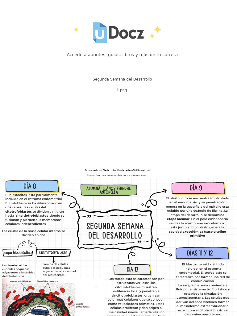 grafico-de-mapa-conc-848670-downloadable-1139309 | Descargar gratis PDF | Biología del ...