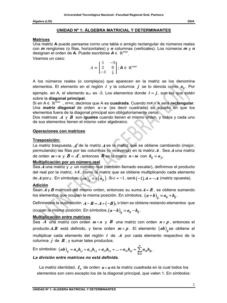 Algebra LOI 2024 Unidad N 1 Matrices | PDF | Matriz (Matemáticas) | Determinante