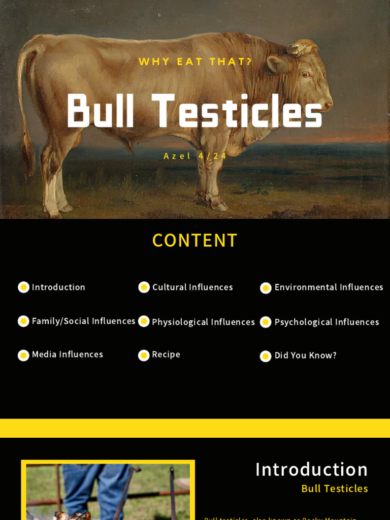 Bull Testicles | PDF | Foods