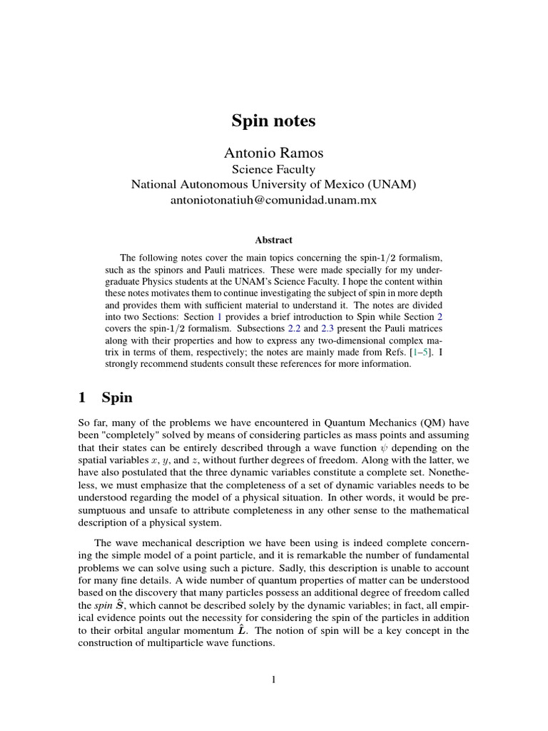 Spin Notes | Download Free PDF | Spin (Physics) | Matrix (Mathematics)