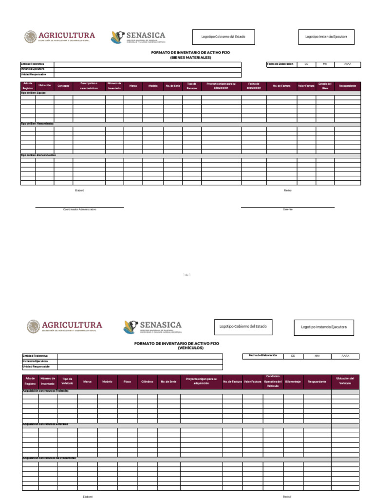 Formatos Inventarios IE 2020 | PDF