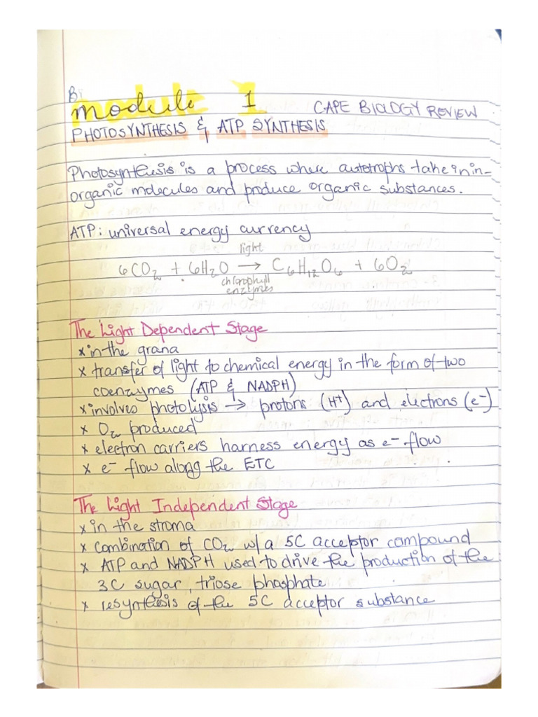 CAPE Biology Unit 2 Notes | PDF