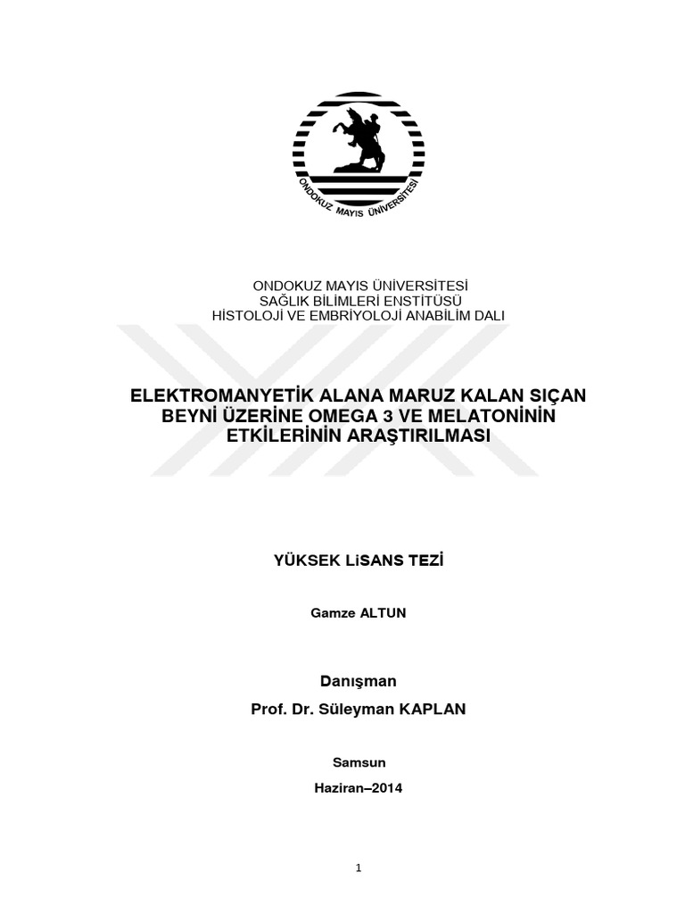EMA Tez 2 | PDF