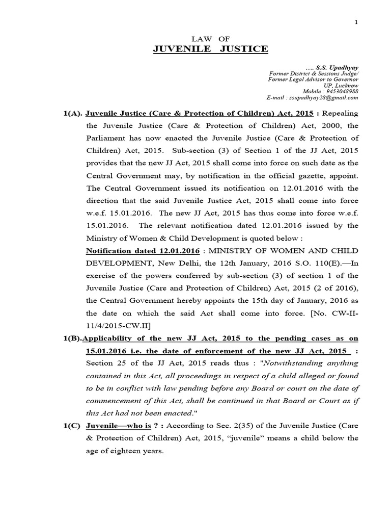 Juvenile Justice | PDF | Criminal Procedure In South Africa | Magistrate