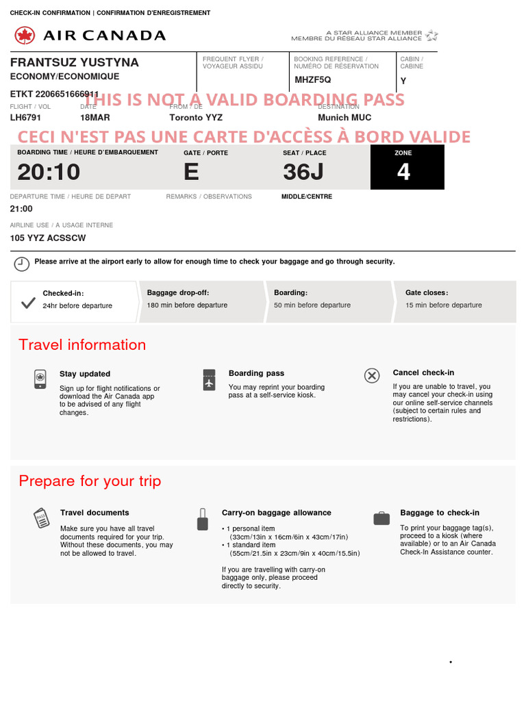 Frantsuz Yustyna | PDF | Baggage | Airlines
