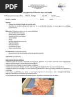 Disección del Muslo de Pollo: Anatomía y Función | PDF | Articulación ...